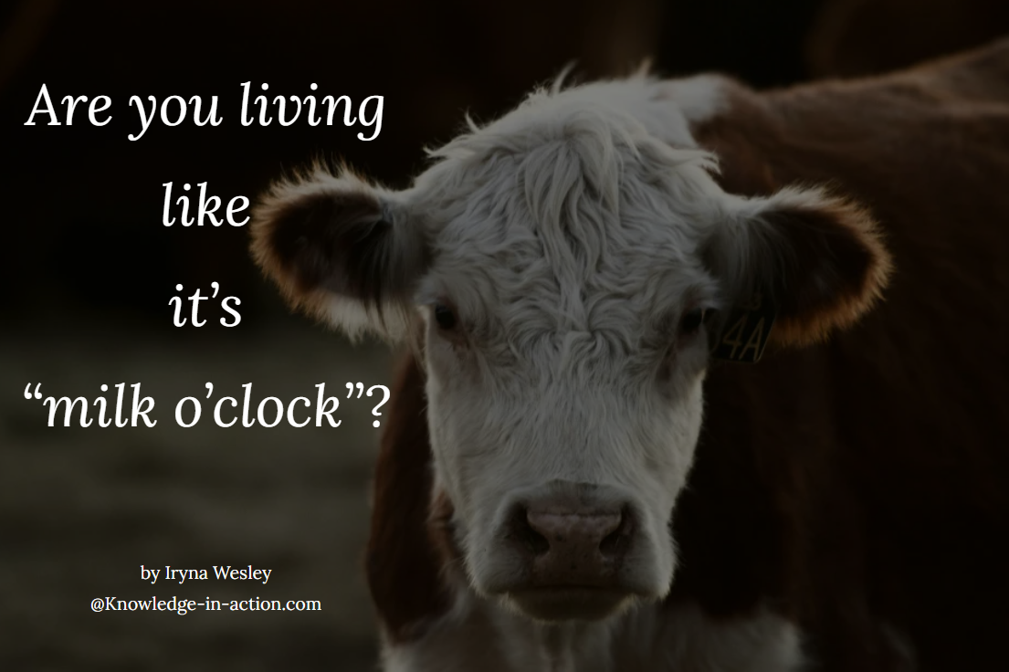Introducing “Time Off”: Are You Living Like It’s “Milk O’clock ...
